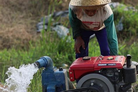 Antisipasi Lahan Pertanian Terendam Banjir Kementan Siapkan