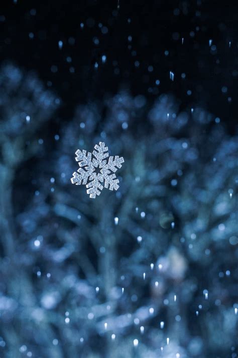 Snowflake Falling Photos Download The Best Free Snowflake Falling