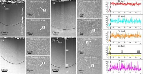 Cross Section Morphologies Of Laser Cladding Coatings The Middle Download Scientific Diagram