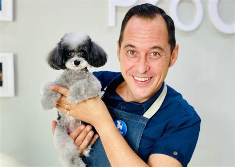 Los Cuidados Del Caniche