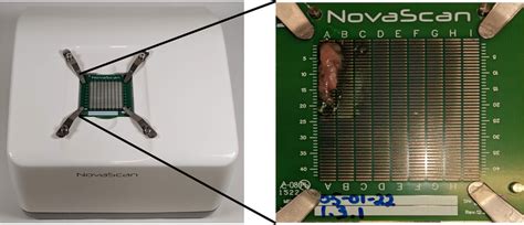 Bioimpedance Spectroscopy Measuring Device With Measurement Electrode Download Scientific