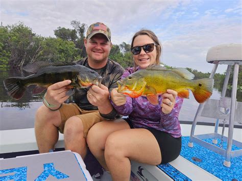 Peacock Bass Fly Or Spin In Fort Lauderdale