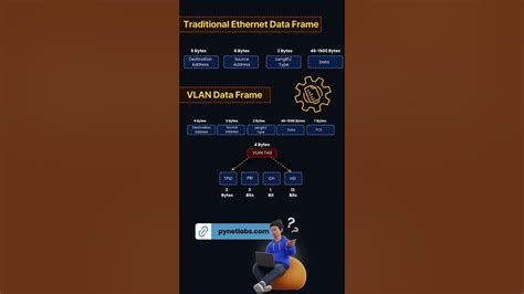 Vlan Data Frame Youtube