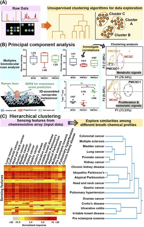 Emerging Nanosensor Platforms And Machine Learning Strategies Toward Rapid Point Of Need Small