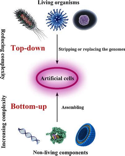 Approaches For The Design And Construction Of Artificial Cells In The