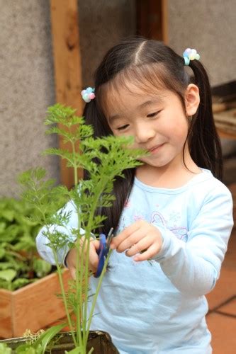 小小農夫學種菜：胡蘿蔔嫩葉篇信誼好好育兒信誼基金會分齡教養，父母最佳幫手
