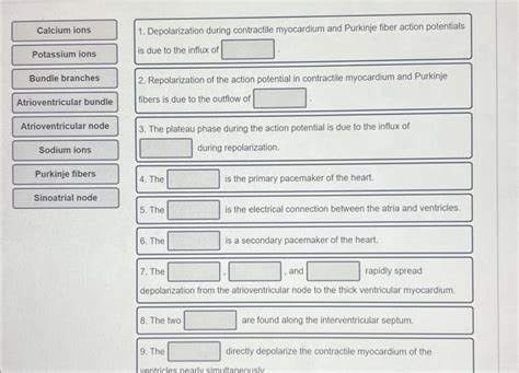 [solved] 1 Depolarization During Contractile Myocardium A