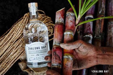 Rum aus Thailand – Travel-Food-Art