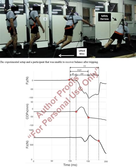Example Of Spatial Parameters Of Step Execution Test IP Step