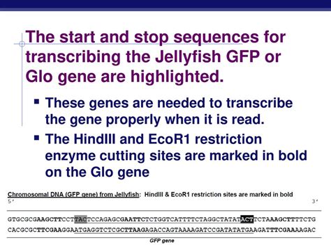 Biotechnology Ppt Download