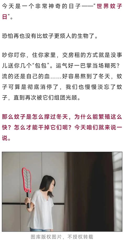 【科普】蚊子只爱咬你？拿走不谢！这些方法能让蚊子“断子绝孙”！澎湃号·政务澎湃新闻 The Paper