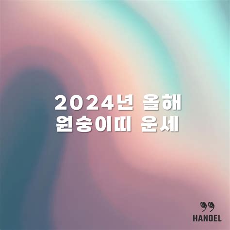 년 올해 원숭이띠 운세 상반기 하반기 년생 년생 년생