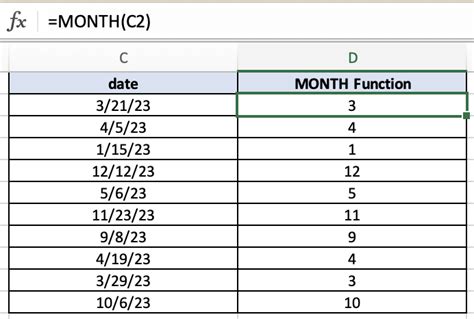 MONTH Function Excel Data Trail Mix