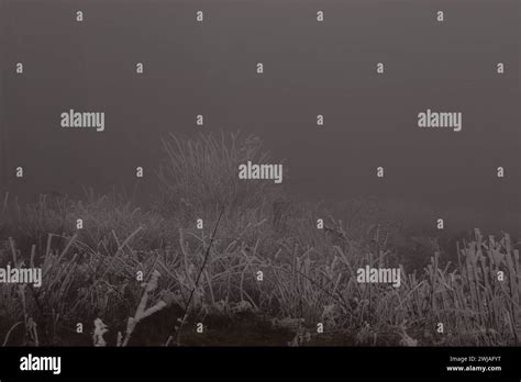 Nebelfoto Hi Res Stock Photography And Images Alamy
