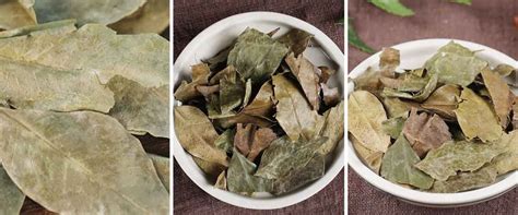 Yin Yu Yinyu Yu Yin Yin Yu Herb Yinyu Herb For Sale Native Chinese