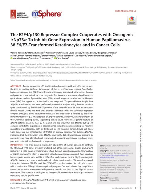 Pdf The E2f4p130 Repressor Complex Cooperates With Oncogenic Δnp73α