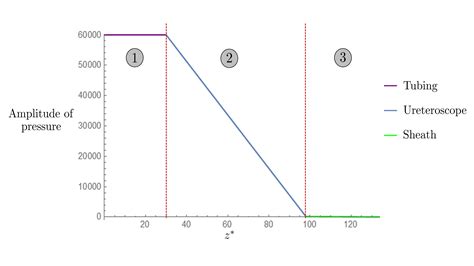 Mathematical Modelling Of Unsteady Flows During Ureteroscopy