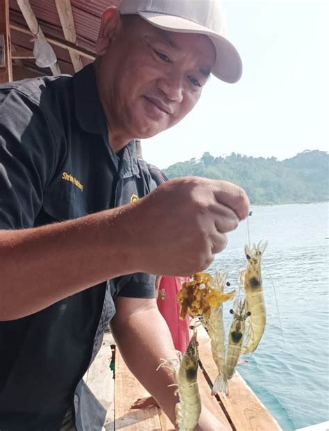 Budidaya Udang Vannamei Di Keramba Lebih Irit Trubus