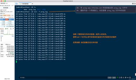 软件测试 —— Linux基础命令行软件测试linux常用命令 Csdn博客