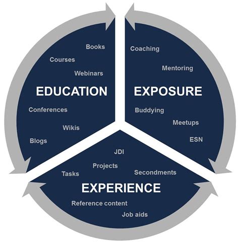 The 3 Es Education Exposure Experience Diagram