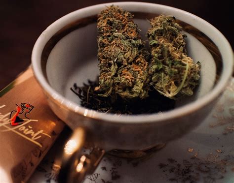 Receta De Infusión De Marihuana 【sadhugrowshop ® 2022