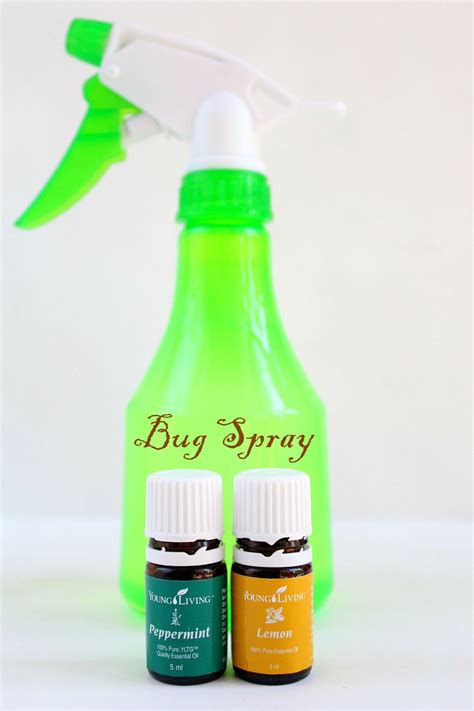 Homemade Bug Spray With Natural Ingredients Homemade Bug Spray