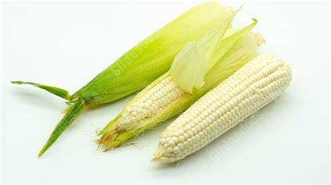 food coarse grains grain corn powerpoint background for free download