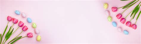 분홍색 배경에 튤립으로 계란을 그렸습니다 부활절 봄 파스텔 배경입니다 플랫 레이 기치 복사 공간 3월에 대한 스톡 사진 및 기타 이미지 Istock