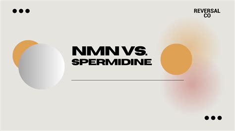 Nmn Vs Spermidine Reversal Co