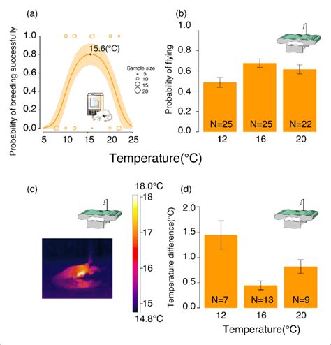 The Fundamental Thermal Performance Curve Tpc Of N Nepalensis