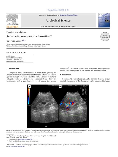 Pdf Renal Arteriovenous Malformation