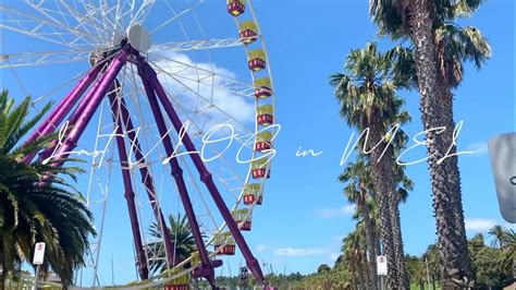 [vlog 6] 호주 멜버른 마지막 브이로그 질롱 여행 그리울거야 ´°̥̥̥̥̥̥̥̥ω°̥̥̥̥̥̥̥̥` Youtube