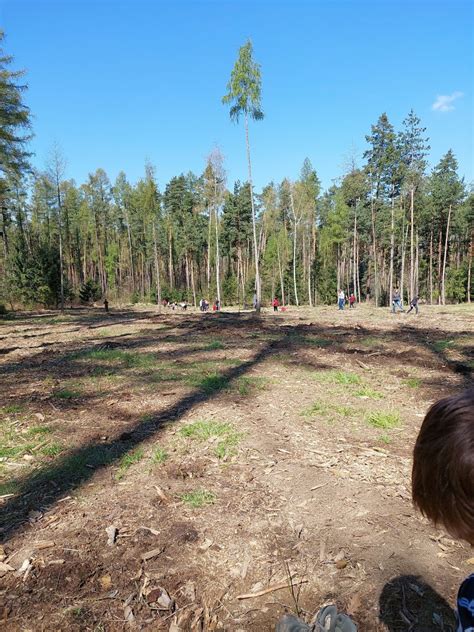 Karel Stibor On Linkedin I Hope You Know Today Is The Earth Day Which Is Celebrated Since 1970 …