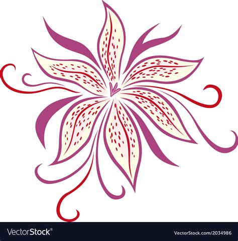 Lily Flower Royalty Free Vector Image VectorStock