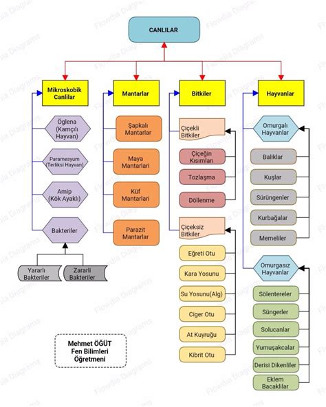 Types Of Classes Diagram