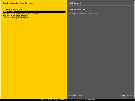 VMware ESXi SSH Enable Service Server World