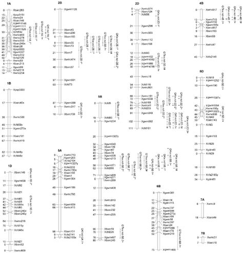 Qtls Detected By Composite Interval Mapping Cim For 1000 Kernel
