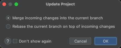 When I Click Update Project Of IDEA Two Options Pop Up What S The
