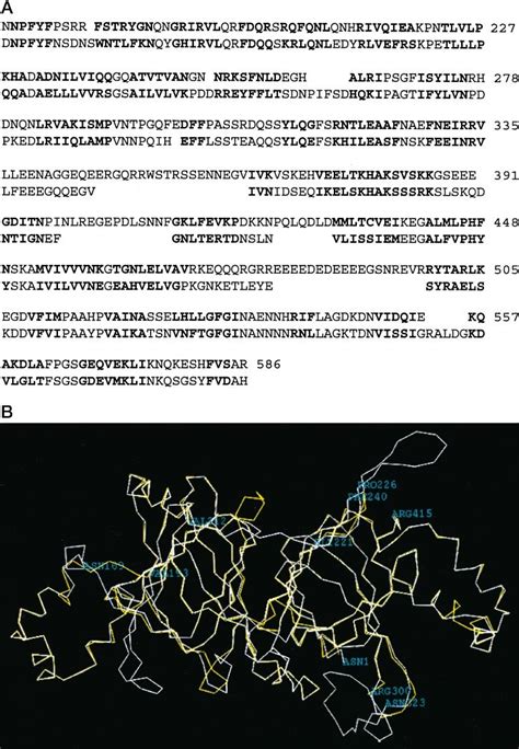 Alignment Of The Primary Amino Acid Sequences And The Carbon Structural