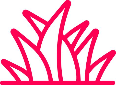 מפגשי מסעות שמאנים עם תומר פיין תודעה בריאה