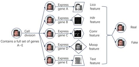 논문 리뷰 Sfe Net Harnessing Biological Principles Of Differential Gene Expression For Improved