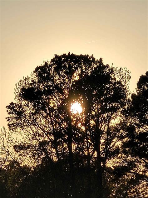Robert Rangel On Linkedin Psalm 14516 Amplified Bible 16 You Open