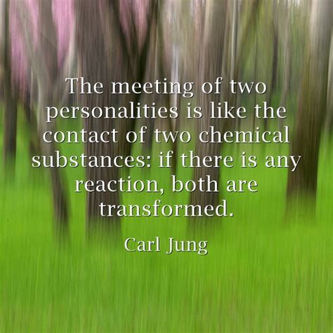 Famous Carl Jung Quotes On Love Life And Happiness