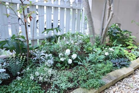 The Garden Is Full Of Plants And Flowers