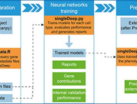 Rpkm Fpkm And Tpm Clearly Explained Rna Seq Blog