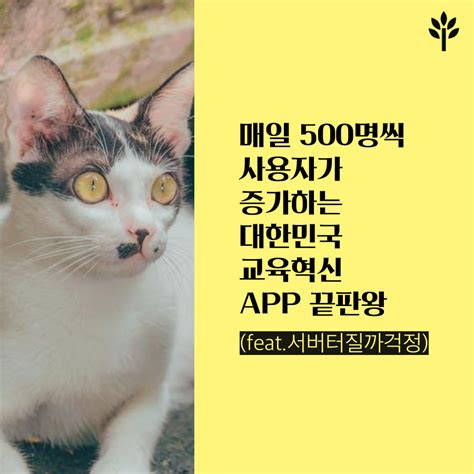 미래교실네트워크 거꾸로교실app 매일500명씩미래교육라인합류 쉬운 거꾸로교실보다 더 쉬운