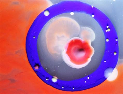 Sarah Roberts More Painting Bacteria