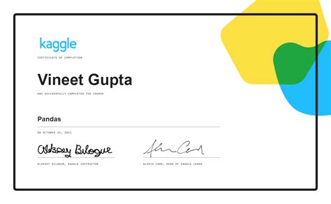 vineet gupta completed the pandas course on kaggle