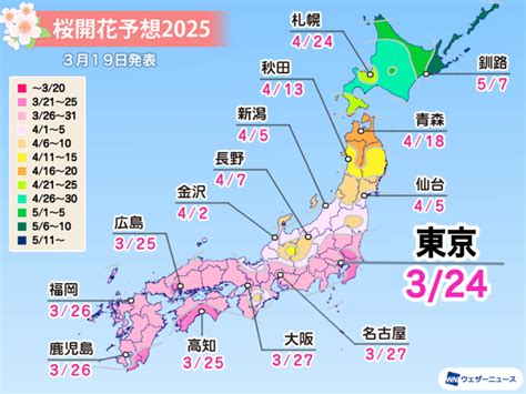 2025桜開花予想全国の花見シーズンはいつか東京や大阪で調査 きいろピックアップ