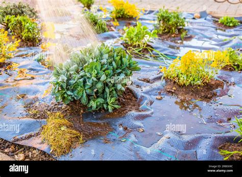 Installing Weed Control Fabric Material And Bark Mulch In A Residential
